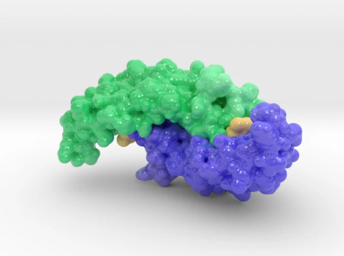Cytokine – Biologic Models