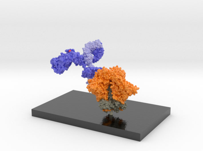 mAb Red Dot with Base – Biologic Models