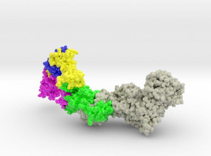 HCMV Pentamer Complex 5VOB – Biologic Models