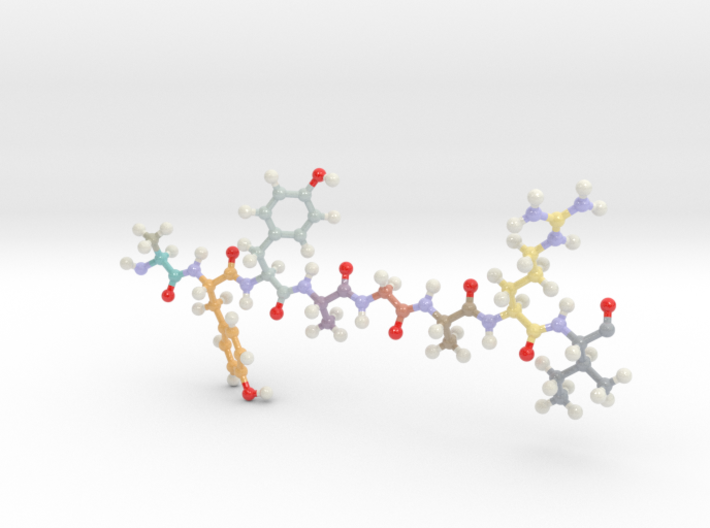 Custom Sequence – Biologic Models