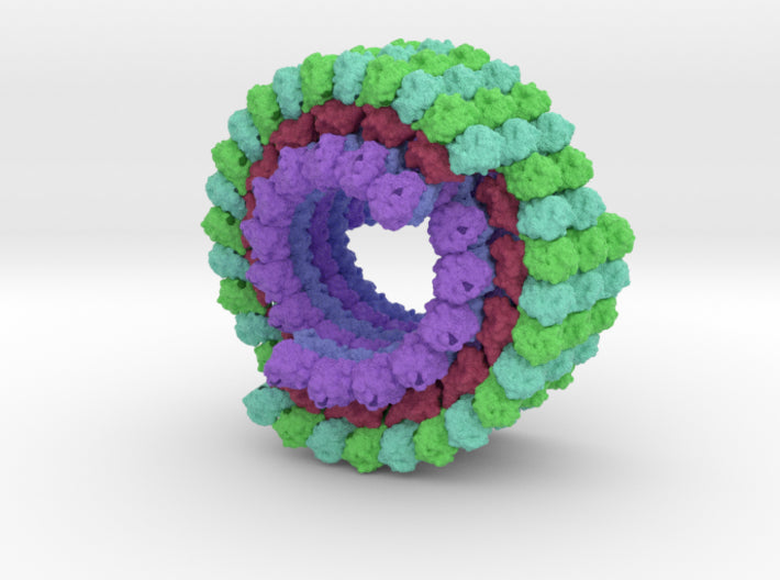 Microtubule 3J2U – Biologic Models