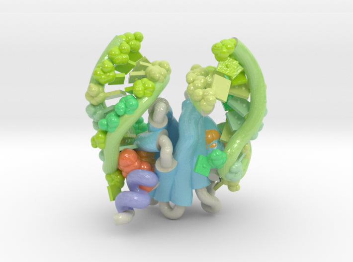 Translation Protein – Biologic Models
