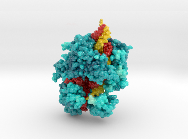 RNA Binding Protein – Biologic Models