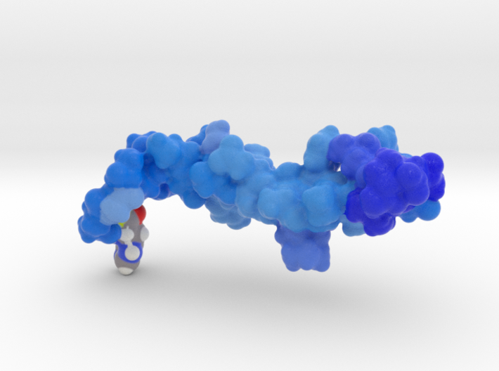 Incretin Effect – Biologic Models