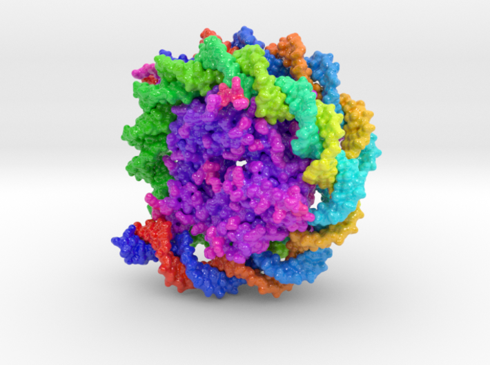 DNA Binding Protein – Biologic Models