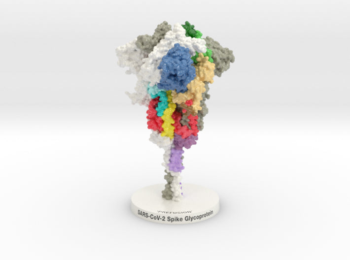 Spike Glycoproteins – Biologic Models