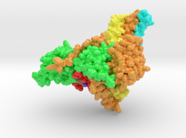 NuA4 Core Complex 5J9Q – Biologic Models