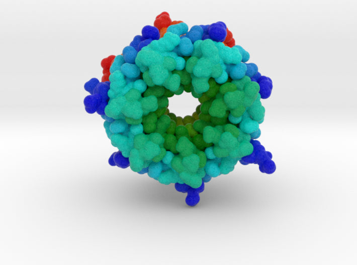 Complement C4b-binding protein 4B0F – Biologic Models